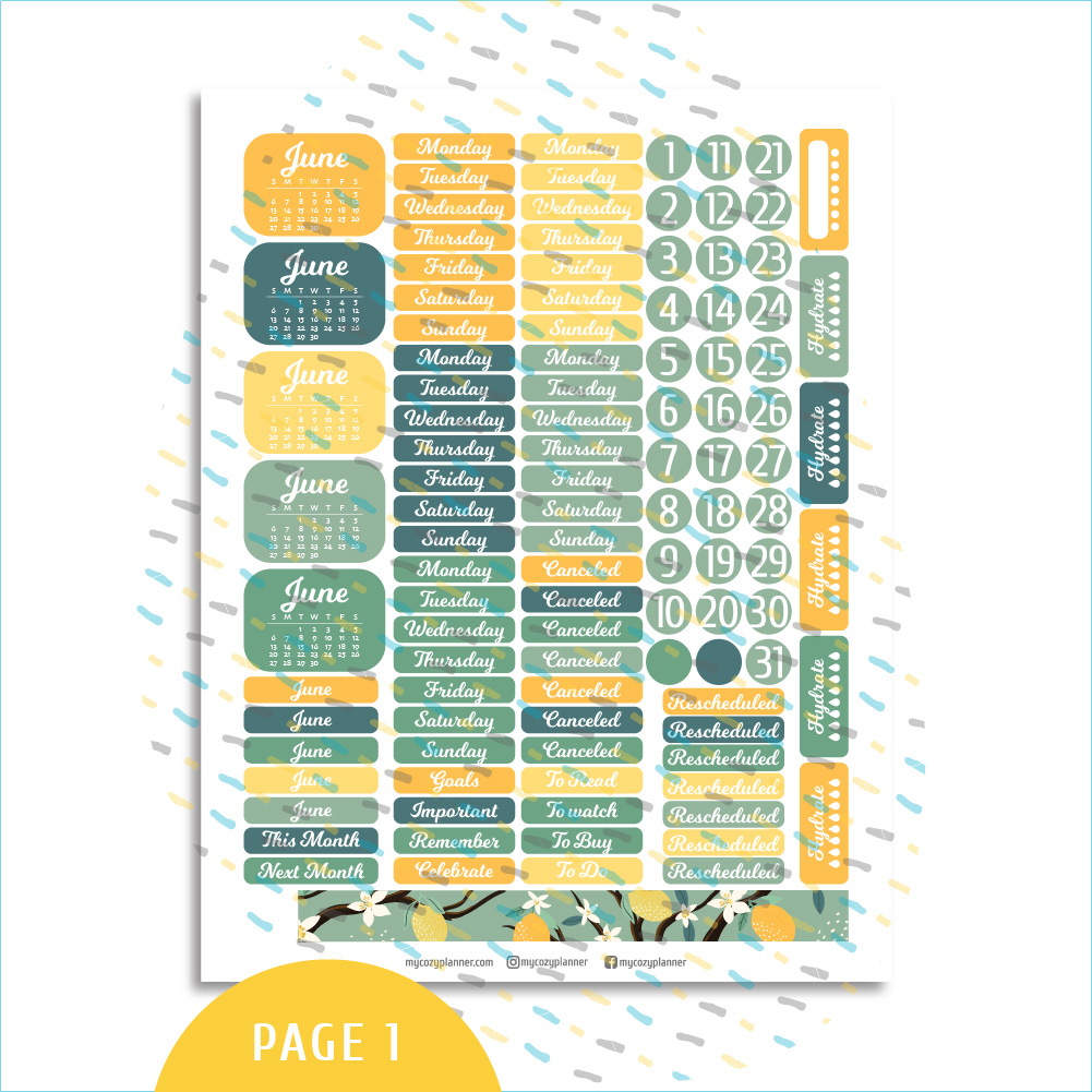 June Sticker Kit. Printable Planner Stickers. - MY COZY PLANNER